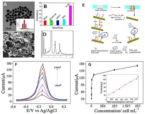 Trimetallic Nanoparticles Greener Synthesis And Their Applications