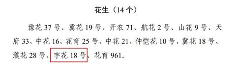 青岛农业大学宇花18号花生品种入选国家粮油生产主导品种 青岛新闻网