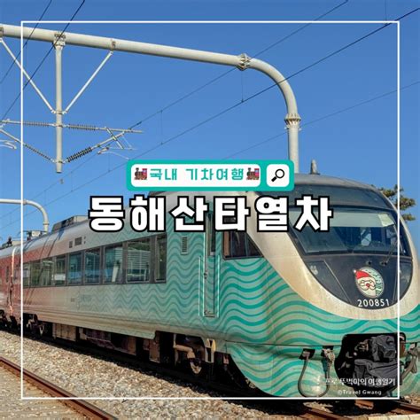 국내 강원도 기차여행 추천 동해산타열차 좌석 예매 꿀팁 가격 네이버 블로그