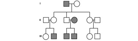 Module Heredity Beginner S Guide To Year Biology