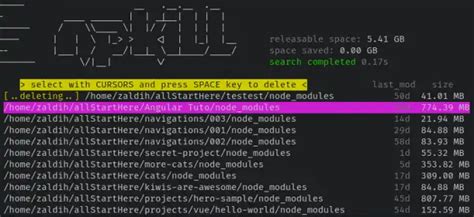 Clean The Nodemodules Folder Of Npm With Npkill