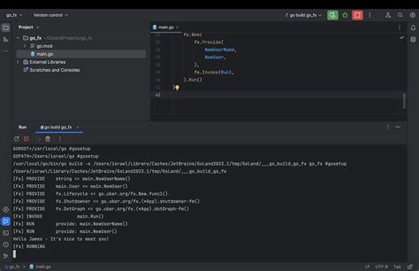 Go With Fx Jetbrains Guide