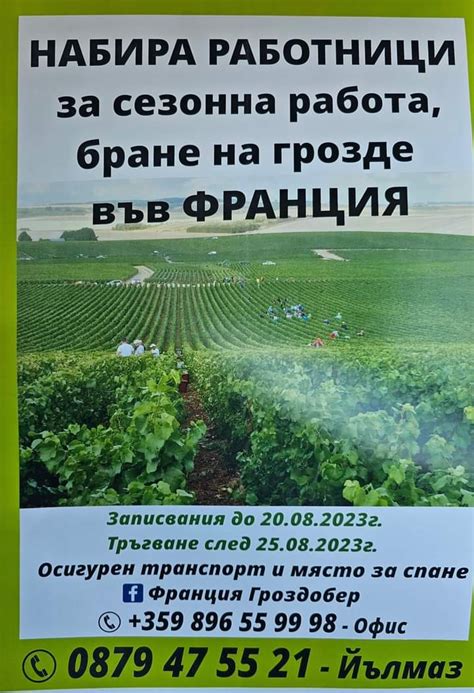 Франция Гроздобер