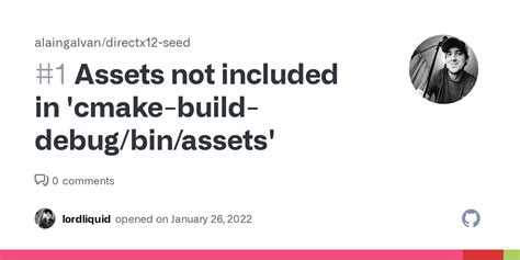 Assets Not Included In Cmake Build Debugbinassets · Issue 1