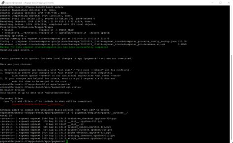 Bench Update Fails Without Reset Due To Untracked Files · Issue 8 · Frappepayments · Github