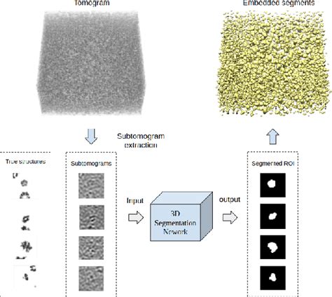 figure 1 from deep learning based supervised semantic segmentation of