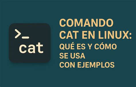 Comando Cat En Linux Qué Es Y Cómo Se Usa Con Ejemplos