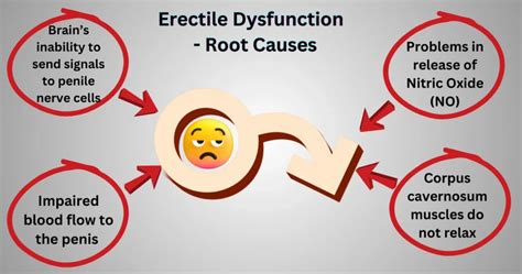 Can Workout Supplements Cause Erectile Dysfunction
