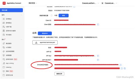 集成极光推送和厂商通道相关总结极光推送还需要厂商推送吗 Csdn博客