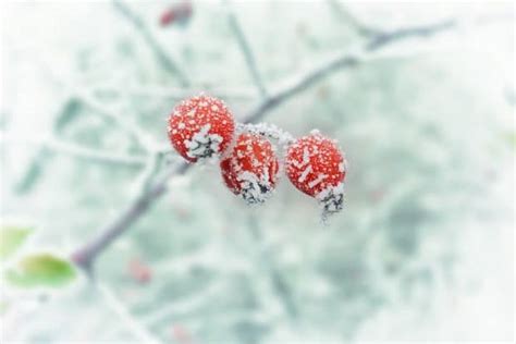 Este Superordenador Puede Predecir El Clima Del Invierno Con Un Año De