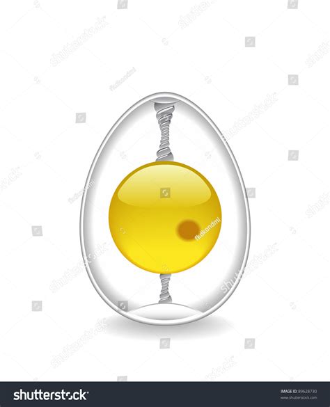 Structure Egg Shown Image Stock Vector Royalty Free Shutterstock
