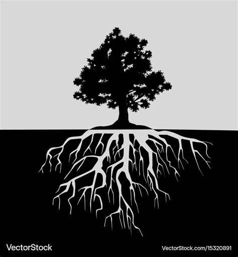 Tree Roots Black And White Vector Images Over 2 900