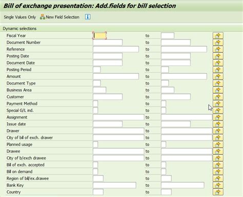 2841545 Fbwe Adding Custom Field In Dynamic Selection Sap Knowledge Base Article