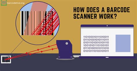 How Does A Barcode Scanner Work Things You Need To Know