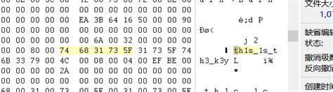 2021年第一届网刃杯wp Misc4解协议2解ftk Ad1 Csdn博客