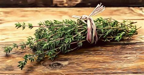 What Does Thyme Taste Like The Peppy Plate