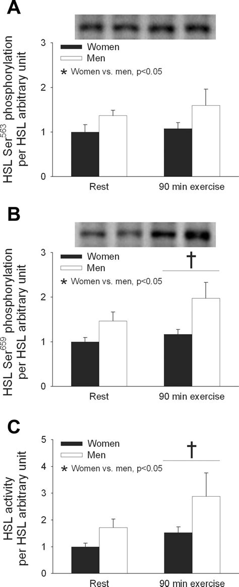 Sex Differences In Hormone Sensitive Lipase Expression Activity And