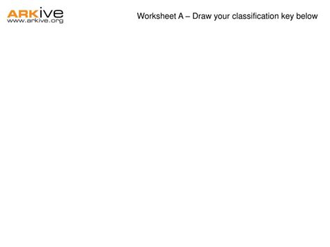 Ppt Make Your Own Classification Key Powerpoint Presentation Free Download Id 4586335
