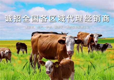 牛饲料添加剂厂家 育肥牛饲料添加剂 牛用催肥饲料添加剂科学搭配选江苏偌腾实业获好评