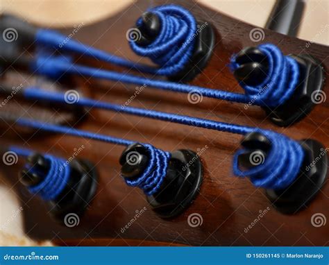 5 Srings Fretless Bass Guitar With Black Strings Stock Image Image Of