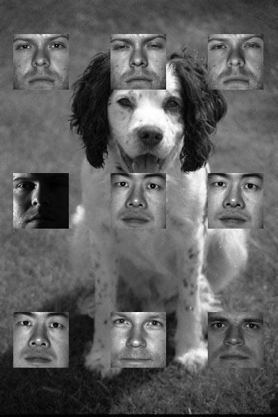 cmsc 426 image processing