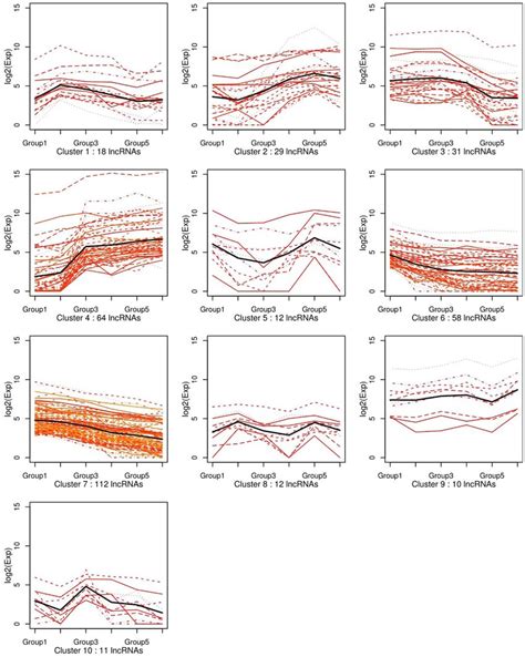 K Means Clustering Analysis Of Differentially Expressed Lncrnas Among Download Scientific