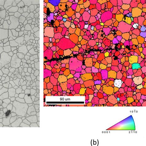 A Optical Micrograph Near Fatigue Pre Crack Tip Which Is Indicated Download Scientific