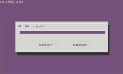 Raspberry Kiosk Mode Configuration On Pandora Fms