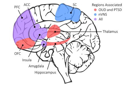 Ccny Neural Engineering Group