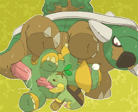 Turtwig