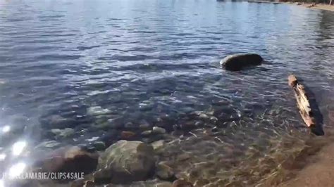 Bella So Soaked Trip