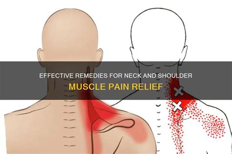 Effective Remedies For Neck And Shoulder Muscle Pain Relief Cyvigor