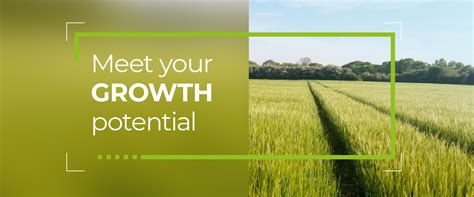 Improving Pre Harvest Connectivity For More Profitable Farms Farmplan