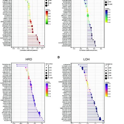 Basic Information About Methyl Methanesulfonate Sensitivity Protein Download Scientific Diagram