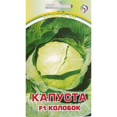 Капуста Каменная голова: описание сорта, фото, отзывы