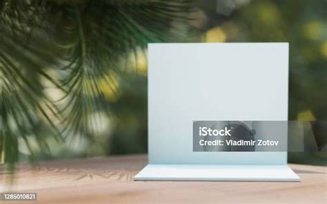 천연 화장품 제품 프리젠 테이션 빈 장면 야자수 잎이 있는 우리 실내 숲 배치 3d 일러스트 콘텐츠 0명에 대한 스톡 사진 및 기타 이미지 Istock