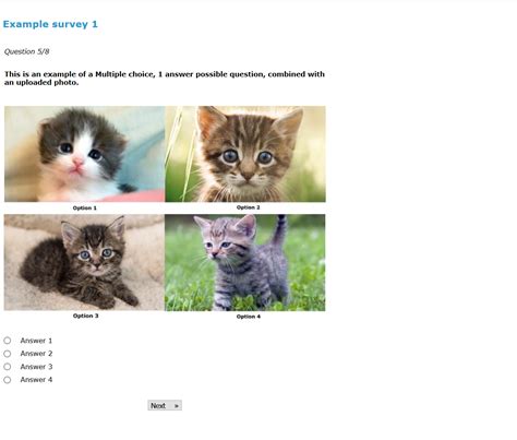 33 Multiple Choice One Answer Image Added Onetimesurvey