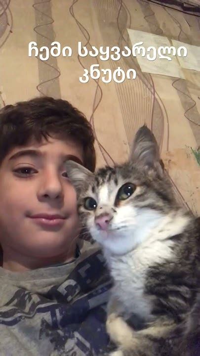 ჩემი საყვარელი კნუტი უკან კედელი არ შეიმჩნიოთ და თუ გინდა პბგ ვიდეოები დავდო დამიწერეთ მევასებით