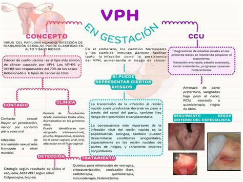 VPH EN GESTACION Luisa Fernanda Daza UDocz