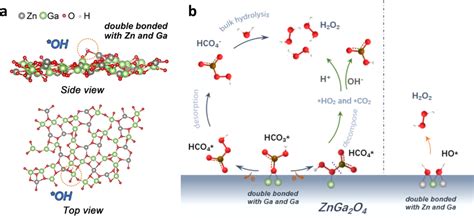 Proposed Reaction Pathways Of Water Oxidation To H O A Side View And Download Scientific