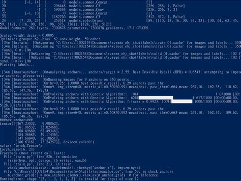 A Problem On Autoanchors With Tensor Shape Issue 2394 Ultralytics Yolov5 GitHub