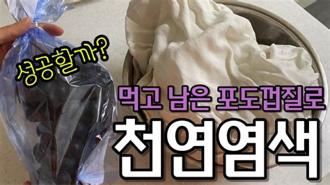 백반 없이 포도껍질 천연염색 Youtube