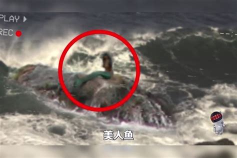 美人鱼是否真实存在？美丽的人鱼，长相真的好看吗？美人鱼长相