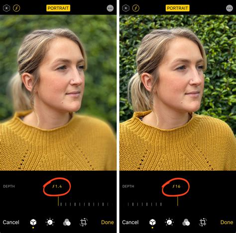Easy Ways To Blur The Background In Your Iphone Photos