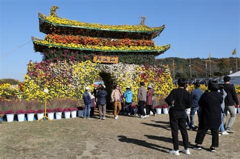 백제고도부여국화축제 최신 축제 공연 행사 정보와 주변 관광 명소 및 근처 맛집 여행 정보