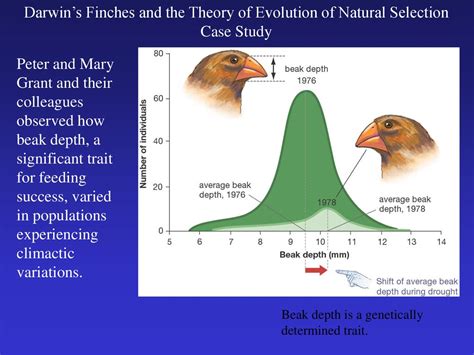 microevolution how does evolution work ppt download