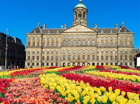 Piazza Dam Amsterdam Cosa Vedere Hotel E Mappa