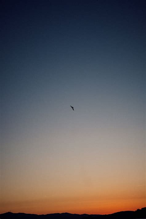 Nicolas Giannantonio Medium