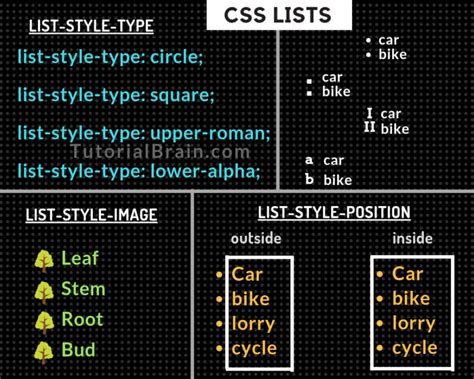 Css Lists — Tutorialbrain