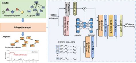 The Architecture Of Pfresgo The Pre Trained Language Model Elnaggar